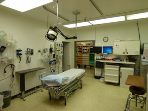 Our Emergency Room